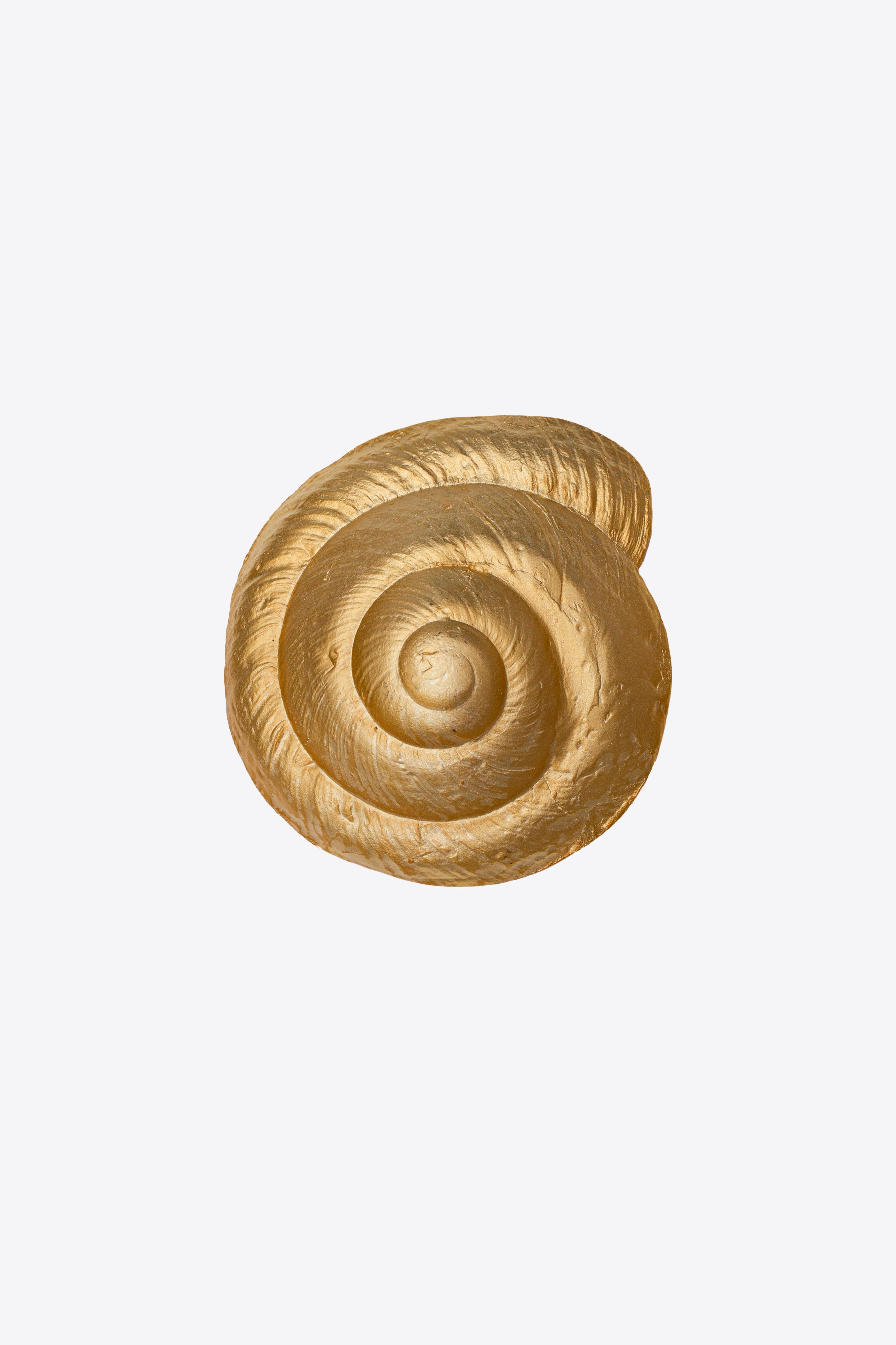 SEASHELL BROOCH - PREORDER – ELENA MOORE STUDIO SL